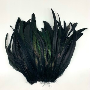 Rooster Coque Many Sizes - Black Iridescent - Sold by the Inch - Etsy