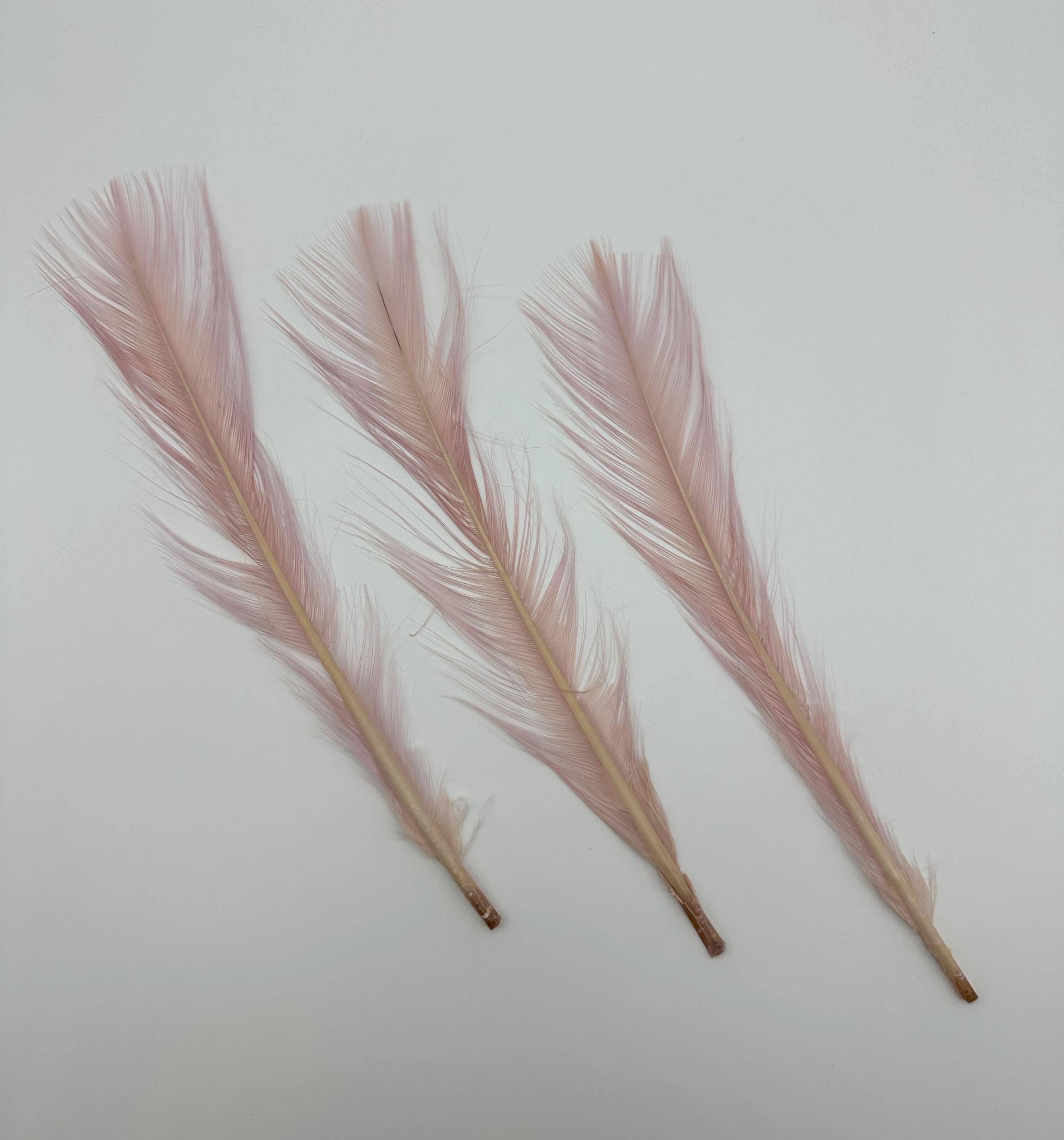 Burnt Turkey Quills in Neutral Colors - Shabby Chic, Home Decor, DIY ...