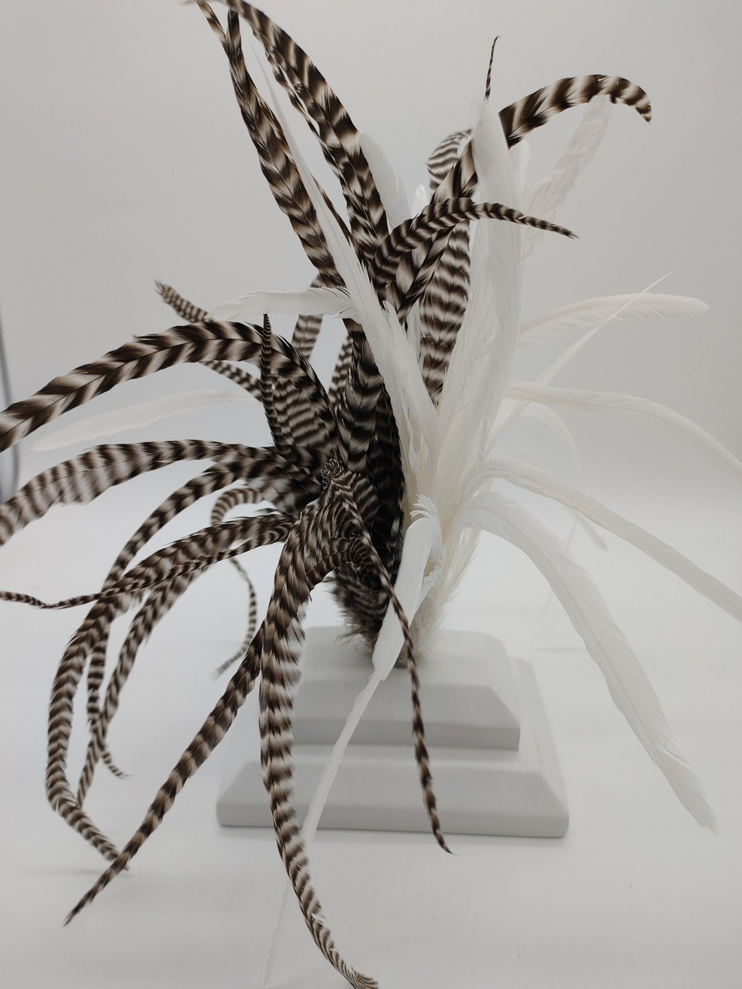 X-rooster Rooster Coque Tail Feathers - Grizzly/washed White/brown/grey ...