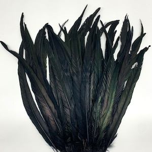Rooster Coque Many Sizes - Black Iridescent - Sold by the Inch - Etsy