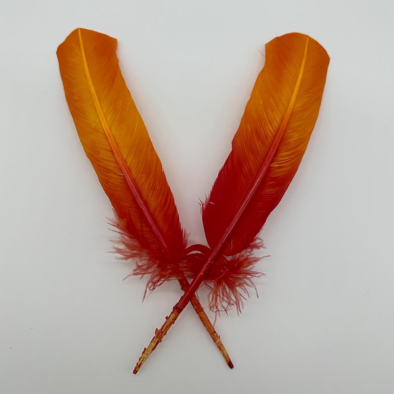 Phoenix Costume - Etsy