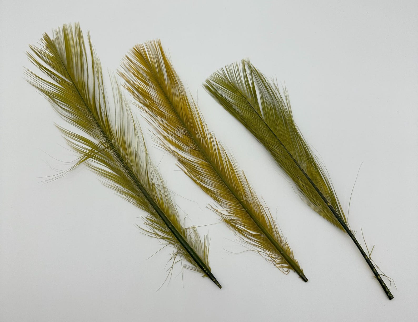 Burnt Turkey Quills in Vibrant Colors, Shabby Chic, Home Crafts and ...