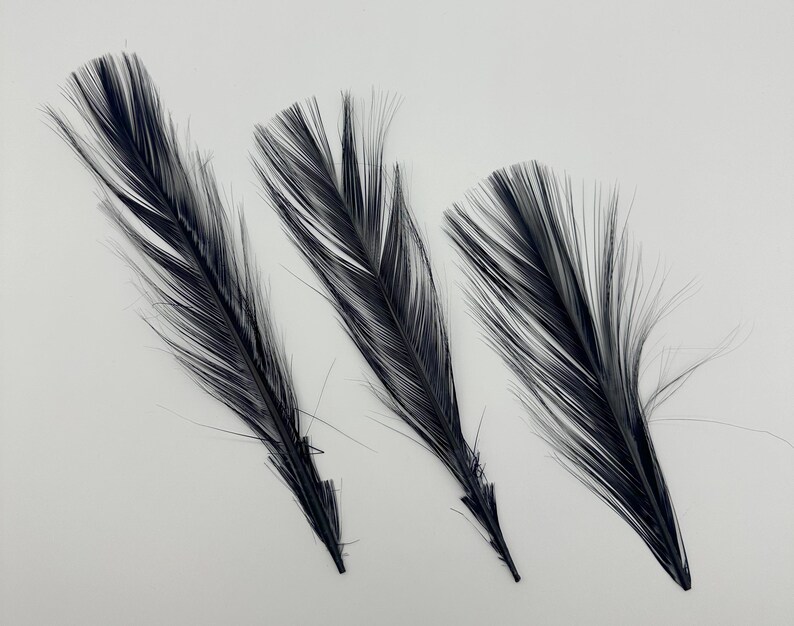 Burnt Turkey Quills in Vibrant Colors, Shabby Chic, Home Crafts and ...