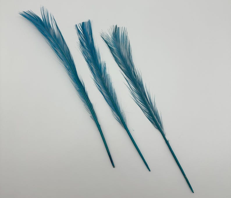 Burnt Turkey Quills in Vibrant Colors, Shabby Chic, Home Crafts and ...
