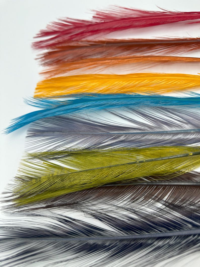 Burnt Turkey Quills in Vibrant Colors, Shabby Chic, Home Crafts and ...