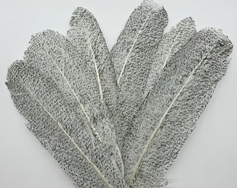 Turkey Feathers - Etsy