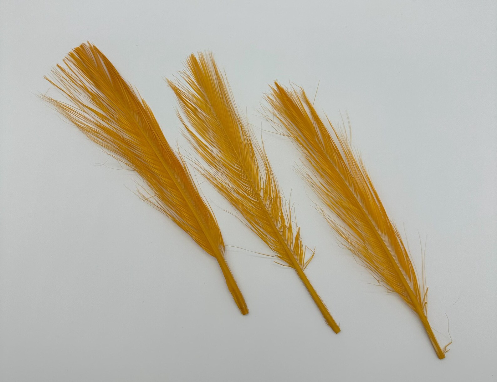 Burnt Turkey Quills in Vibrant Colors, Shabby Chic, Home Crafts and ...