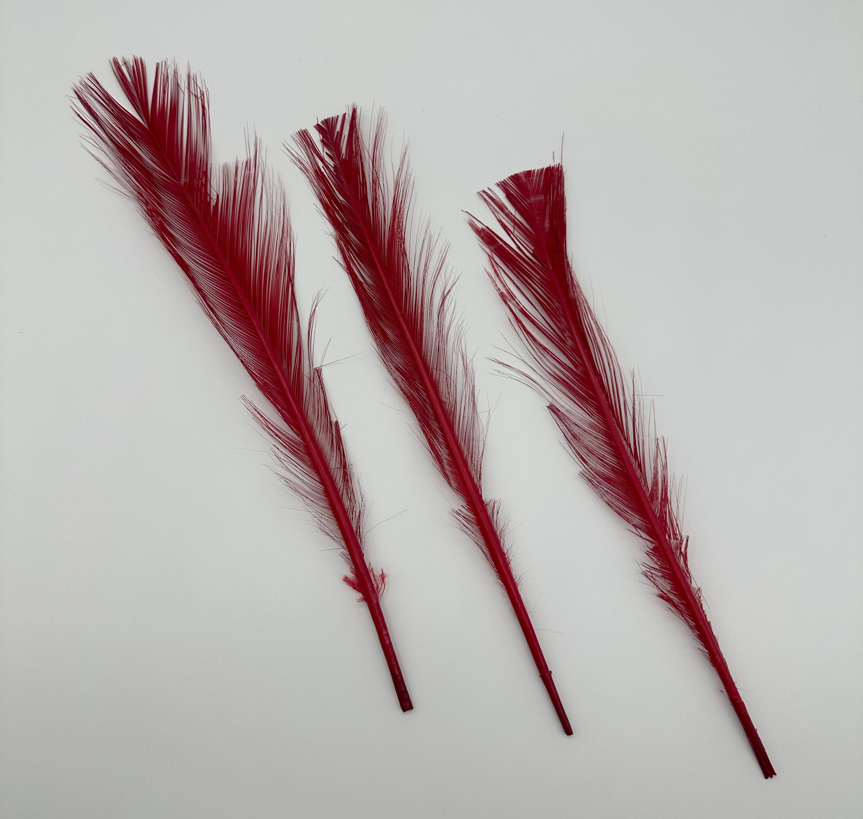 Burnt Turkey Quills in Vibrant Colors, Shabby Chic, Home Crafts and ...