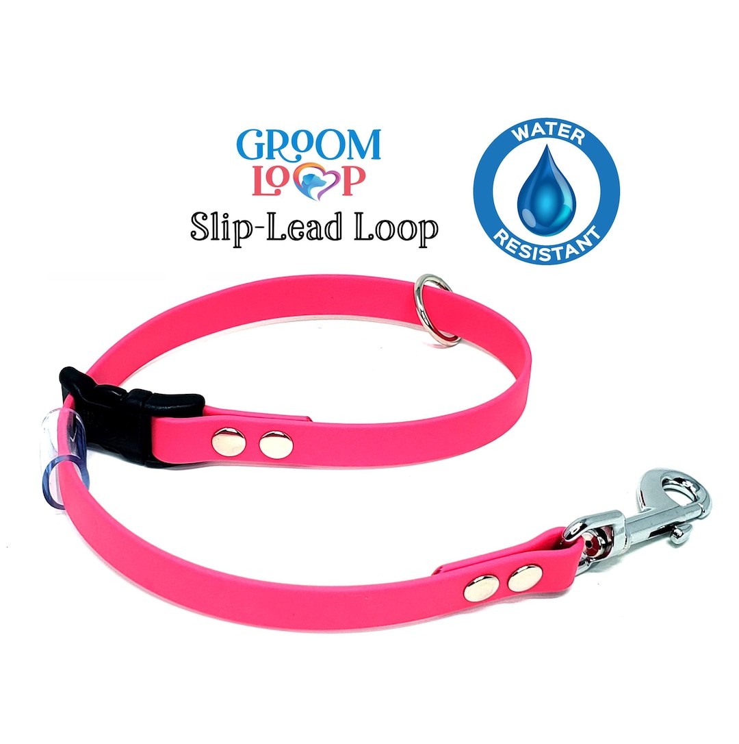 5/8" (slip Lead) Loop. Biothane® Waterproof Webbing, Strong Quick ...