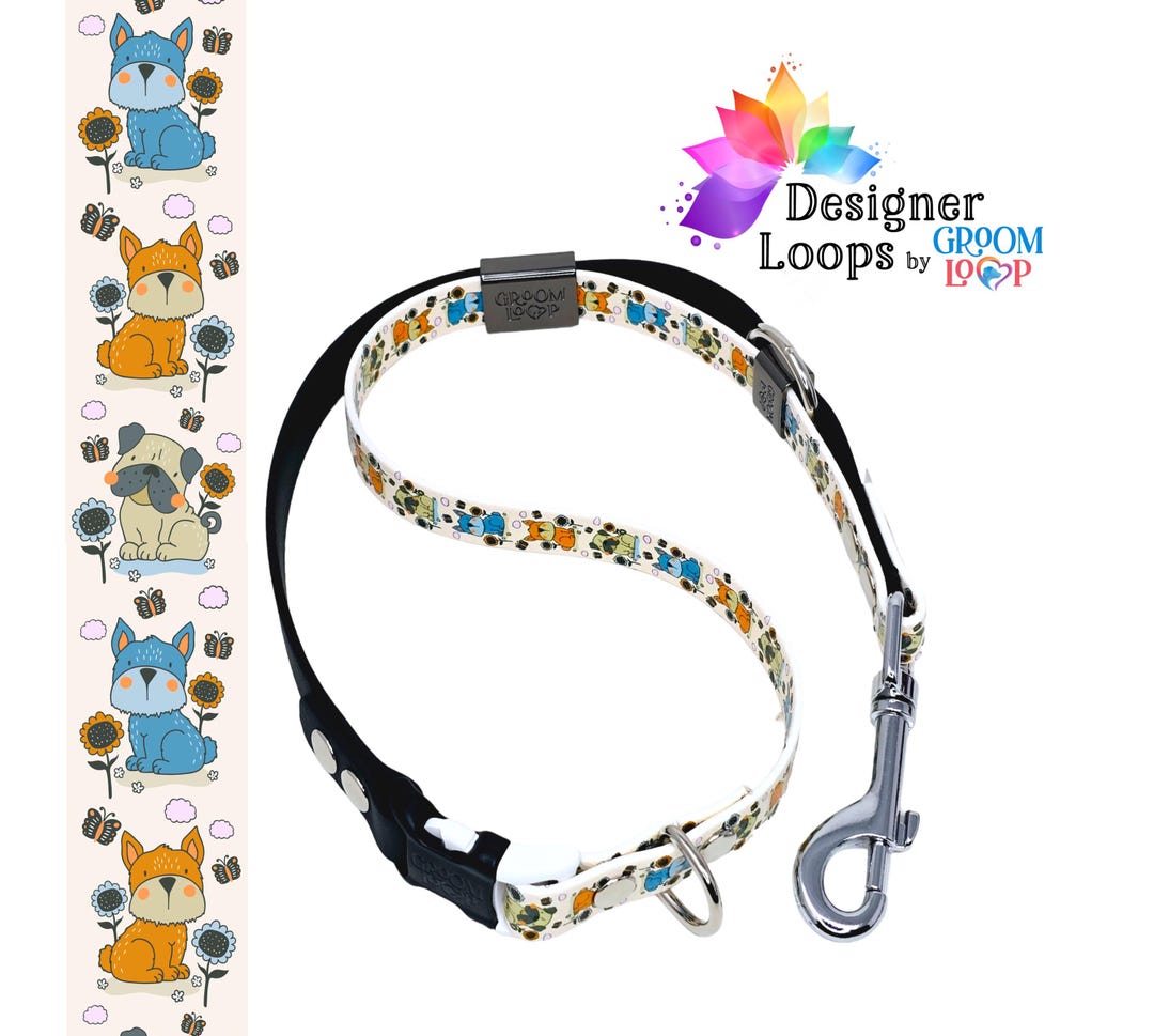 Puppy Pals Biothane® Grooming Loop With a 5/8 Side Quick Release Buckle ...