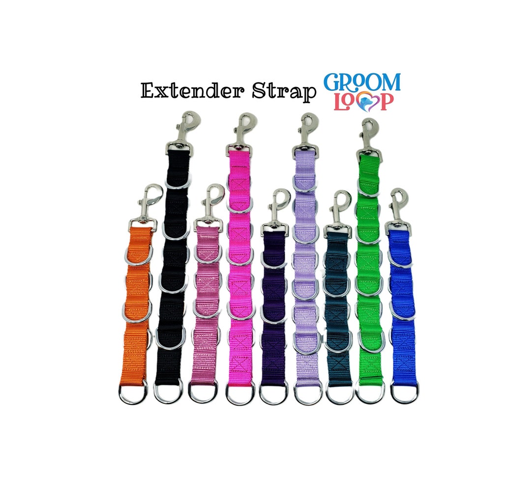 Extender Strap, Heavy Duty 1" Nylon, D-rings and Snap Hook (listing is ...