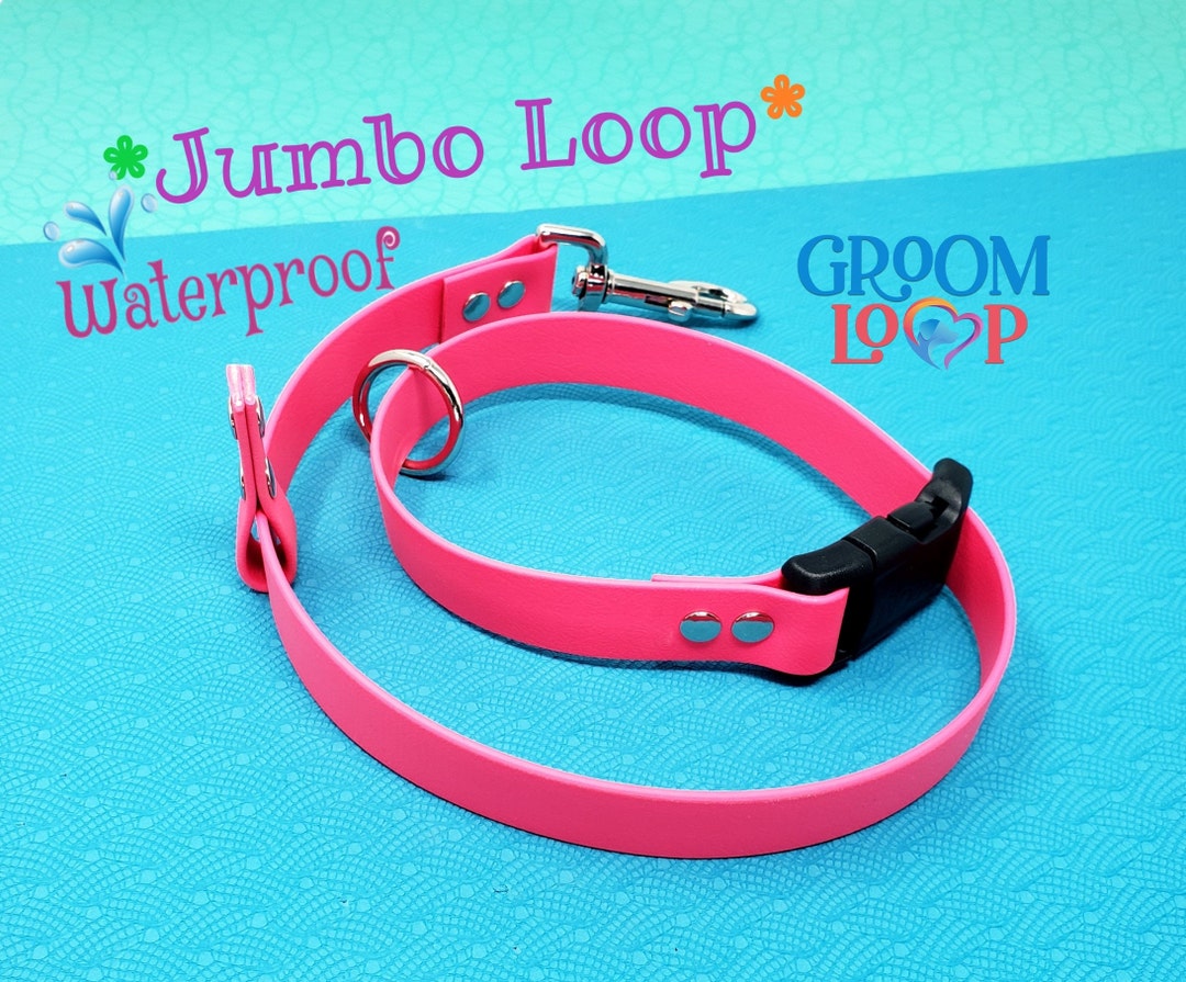 XXL (slip-lead) Grooming Loop, 1" Biothane® and Large Side Release ...