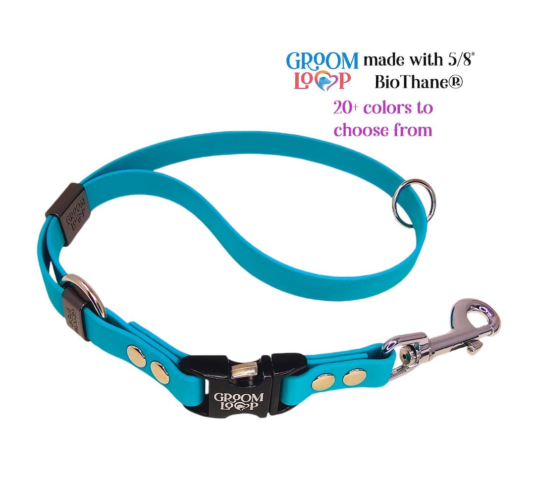 Biothane® Loop With Quick Release Buckle, 5/8" Waterproof Webbing, 24 ...