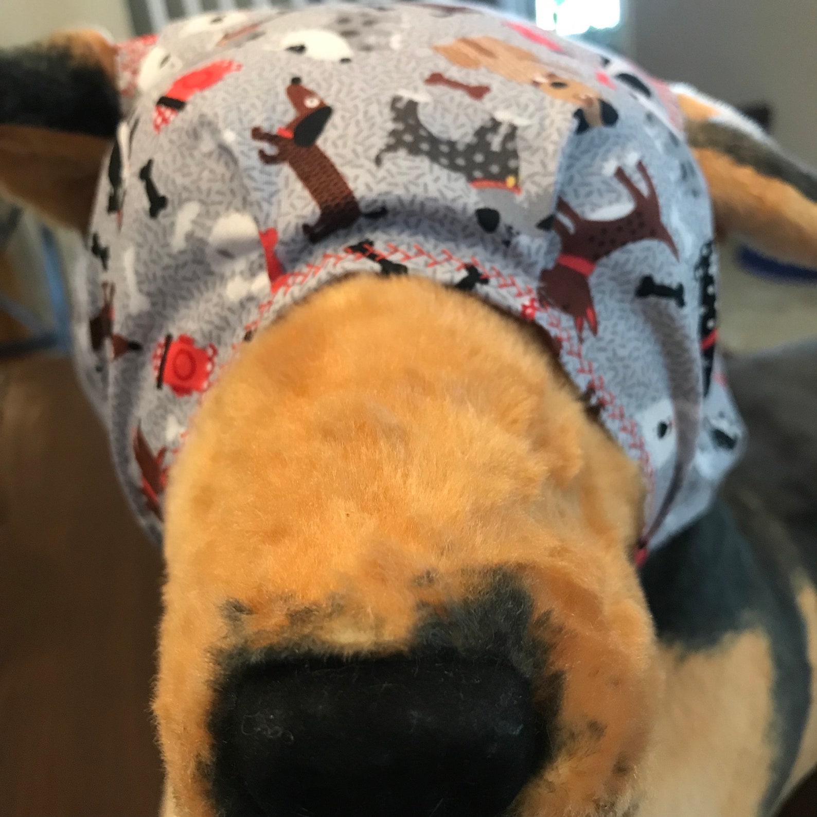 Veterinary Canine Anesthesia Hoods, Full Set - Etsy