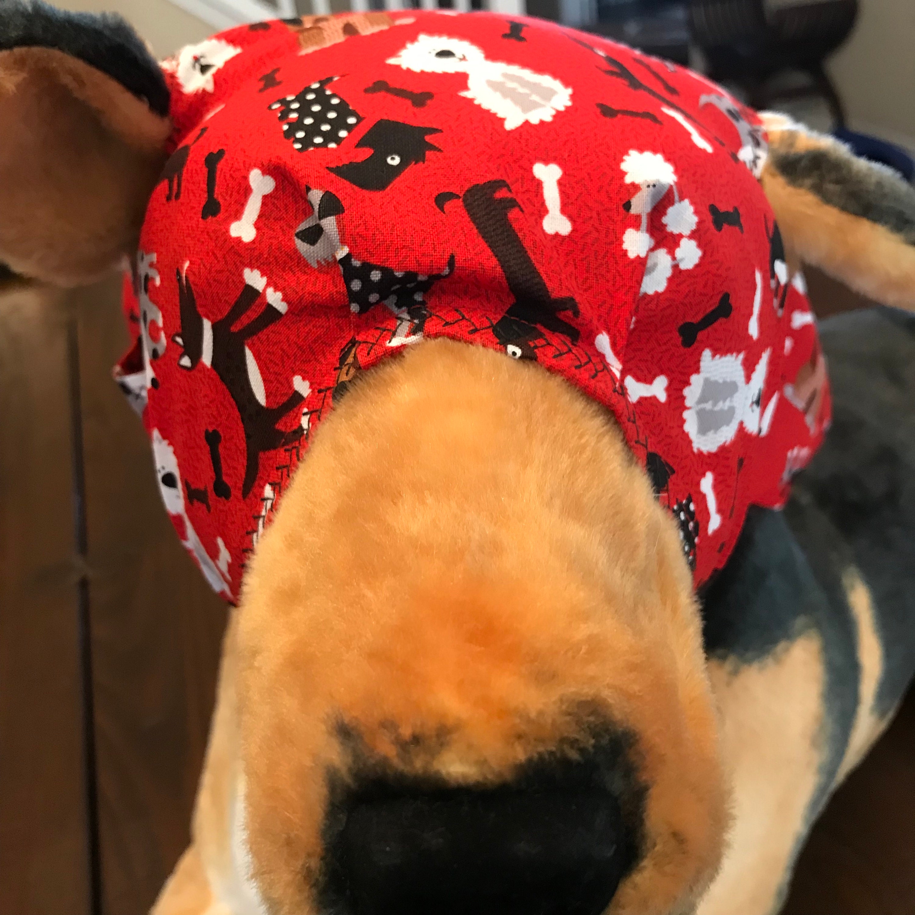 Veterinary Canine Anesthesia Hoods, Full Set - Etsy