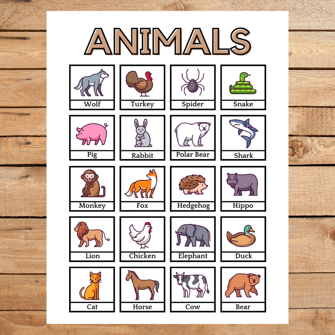 Printable Animals Pecs Chart Print. laminate and cut | Etsy México