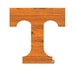 Tennessee Logo Sign Officially Licensed Product W/hologram - Etsy