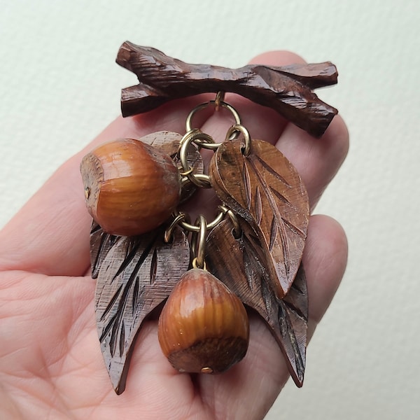 Real Acorn - Etsy