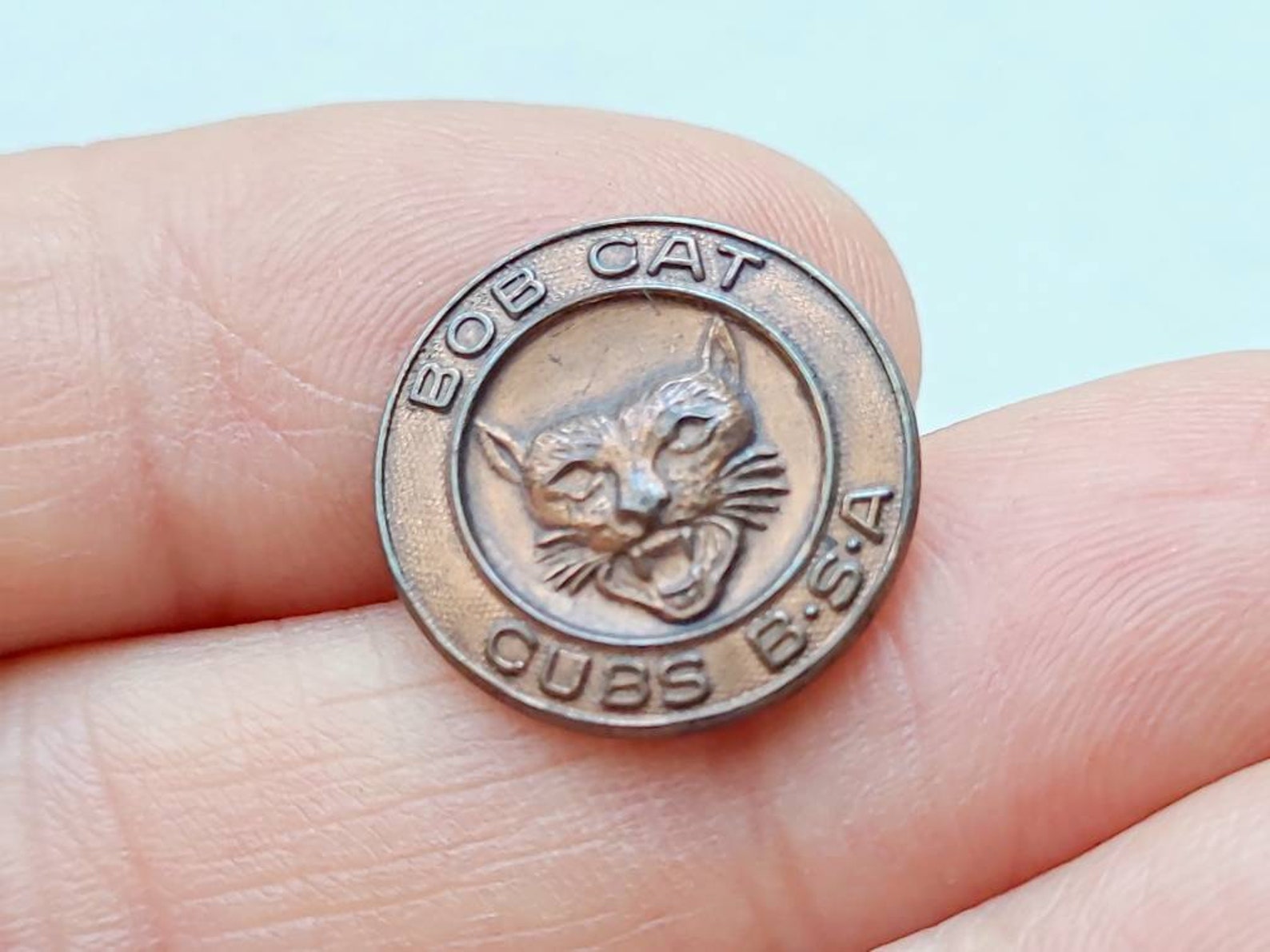 Mid Century Bob Cat Cubs Bsa Pin, Stamped Embossed, First Regular Issue ...