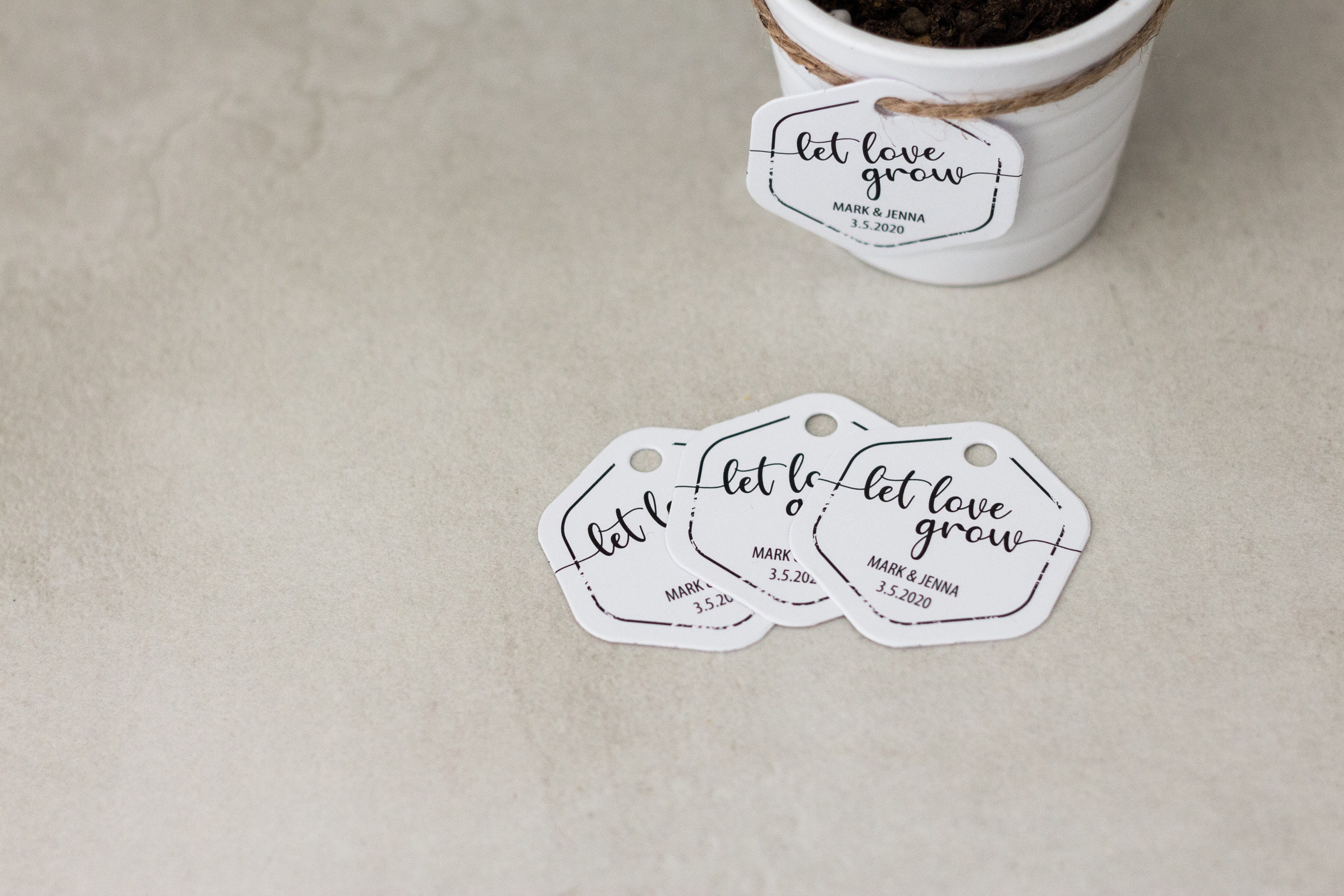 Let Love Grow Personalized TAGS for Wedding Succulent Plant - Etsy