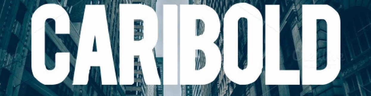 CARI BOLD Font Bundle Cricut Bundle Fonts Svg Fonts Svg Cricut | Etsy