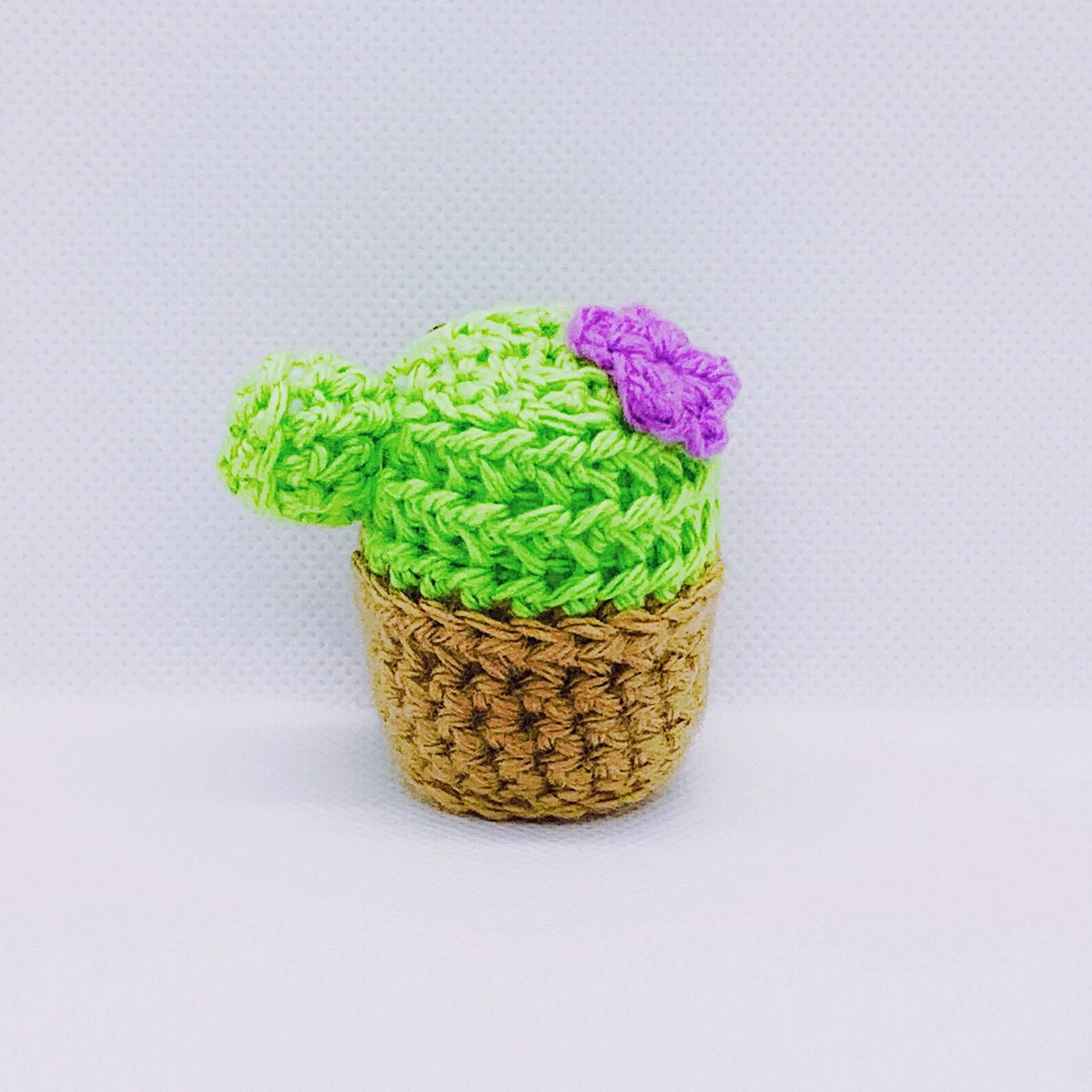 Crochet Pattern / Crochet Mini Cactus Pattern / Amigurumi Mini Cactus ...