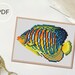 Royal Angelfish Cross Stitch Pattern Toy Aquarium Fish - Etsy