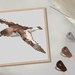 Sooty Shearwater Cross Stitch Pattern, Sea Brown Birds, Muttonbird ...