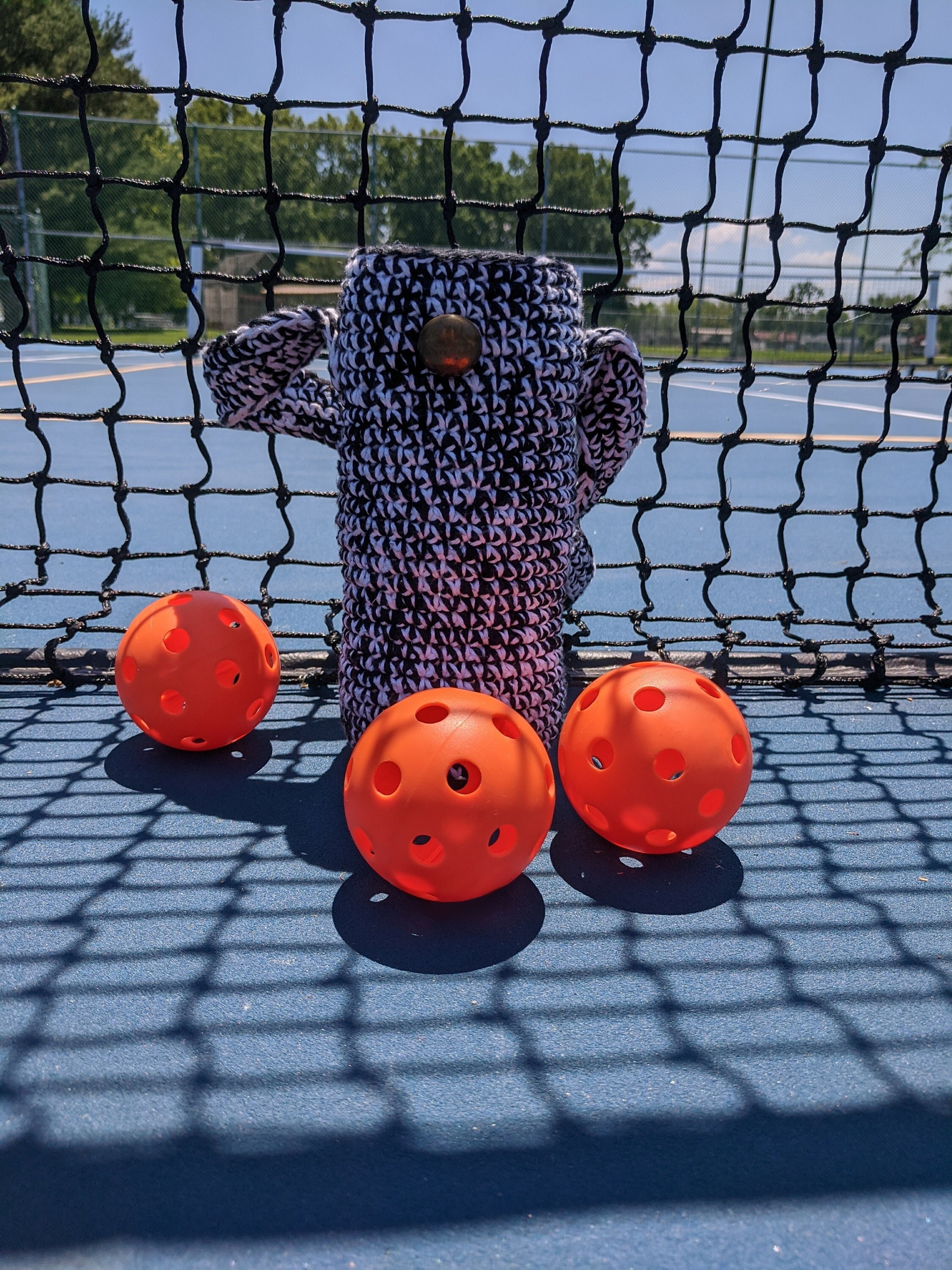 Pickleball Ball Caddy Crochet Pattern - Etsy