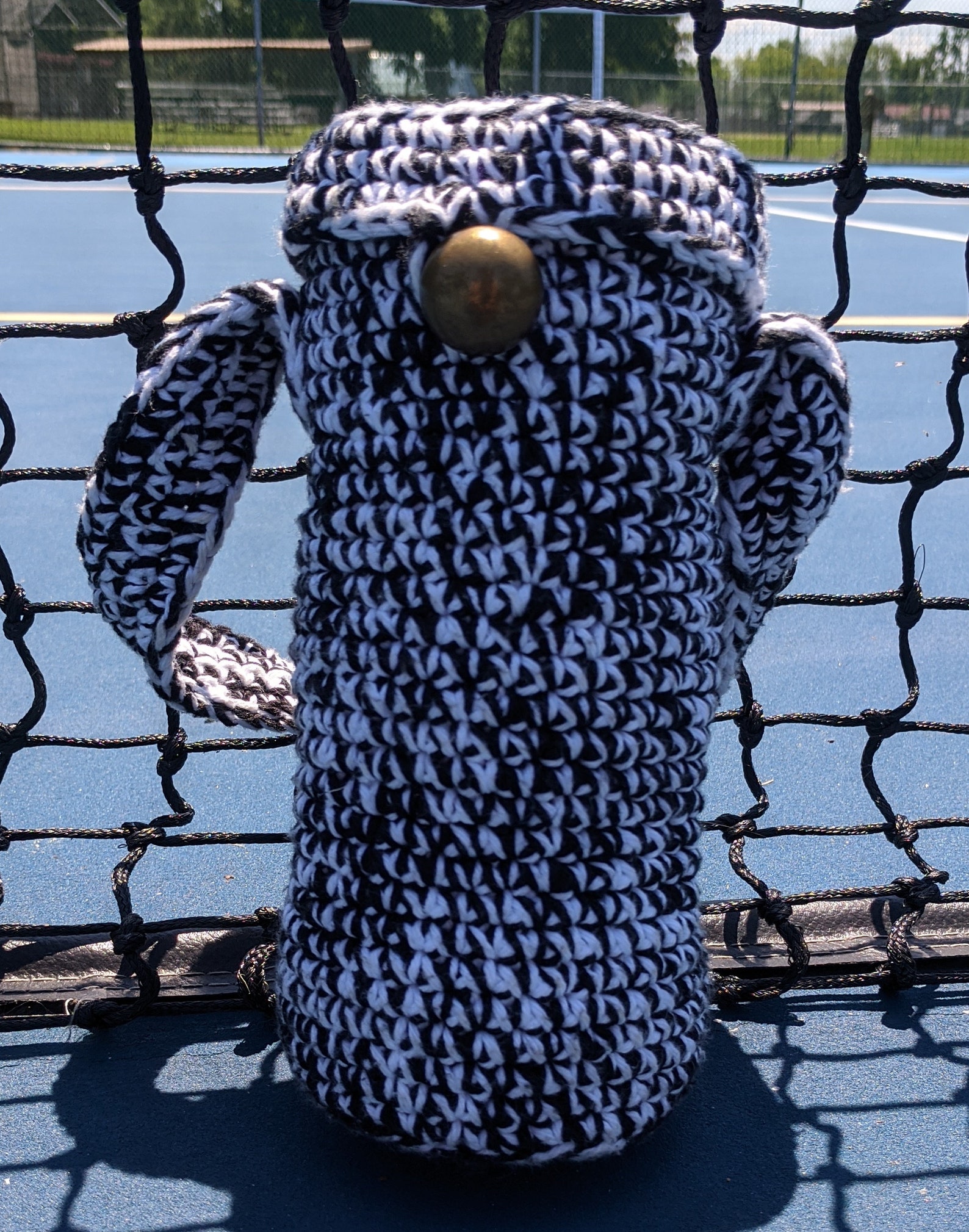 Pickleball Ball Caddy Crochet Pattern - Etsy
