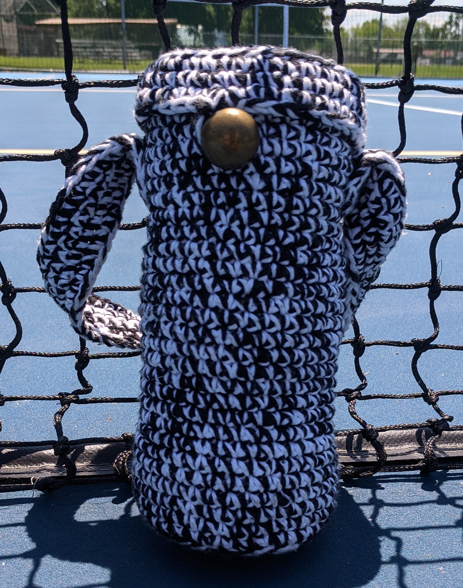 Pickleball Ball Caddy Crochet Pattern - Etsy