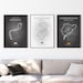 F1 Race Track Map - Large Poster Featuring All 24 Formula One Race ...