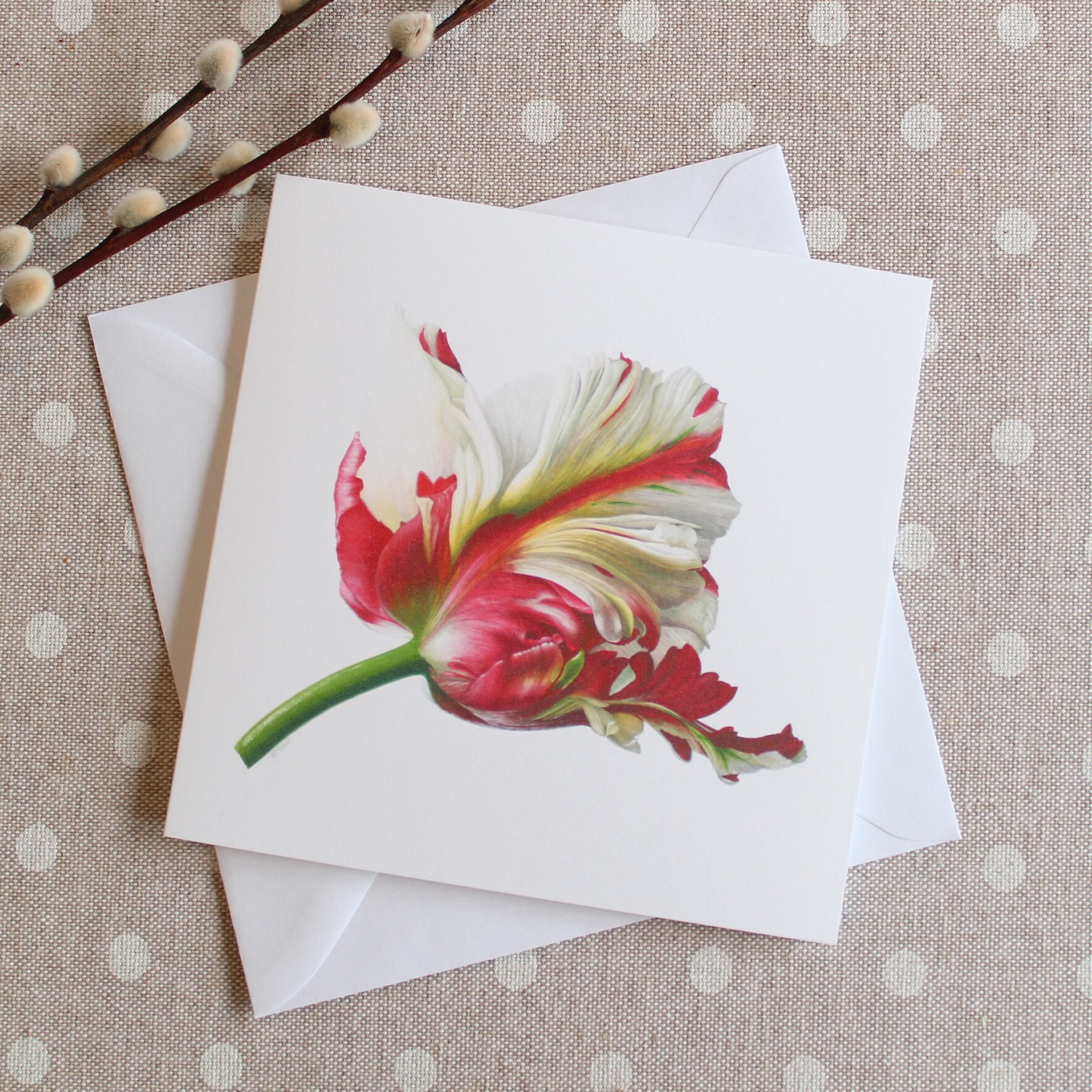 Raspberry Ripple Tulip Card, Greetings Card, Flower Card, Card for Her ...