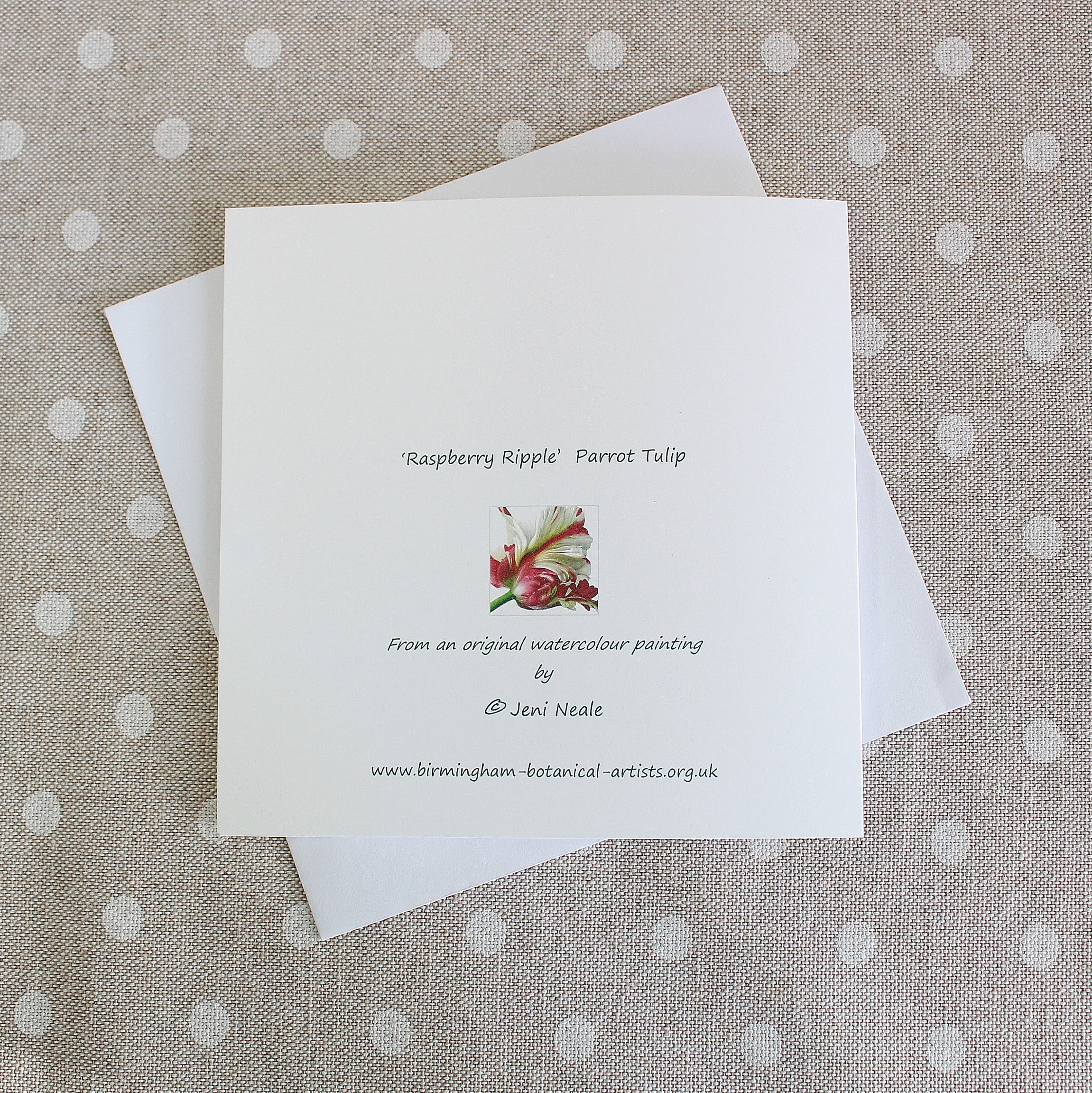 Raspberry Ripple Tulip Card, Greetings Card, Flower Card, Card for Her ...