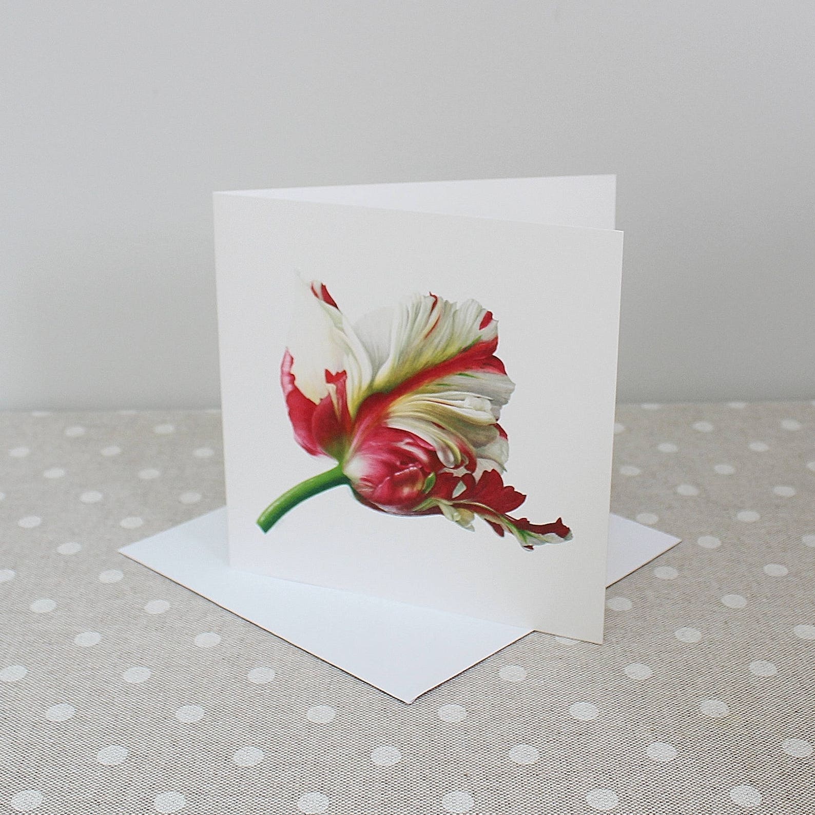 Raspberry Ripple Tulip Card, Greetings Card, Flower Card, Card for Her ...