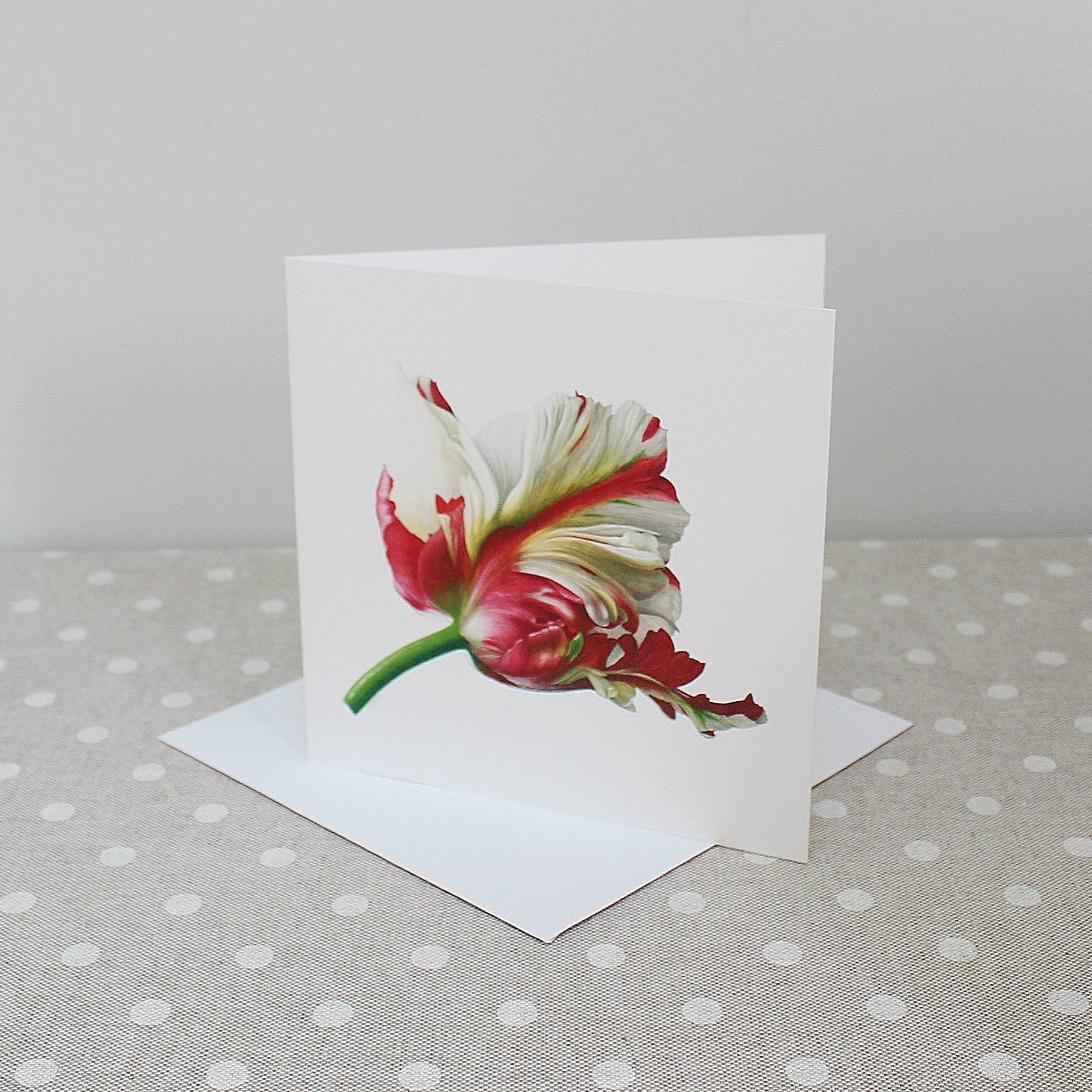 Raspberry Ripple Tulip Card, Greetings Card, Flower Card, Card for Her ...