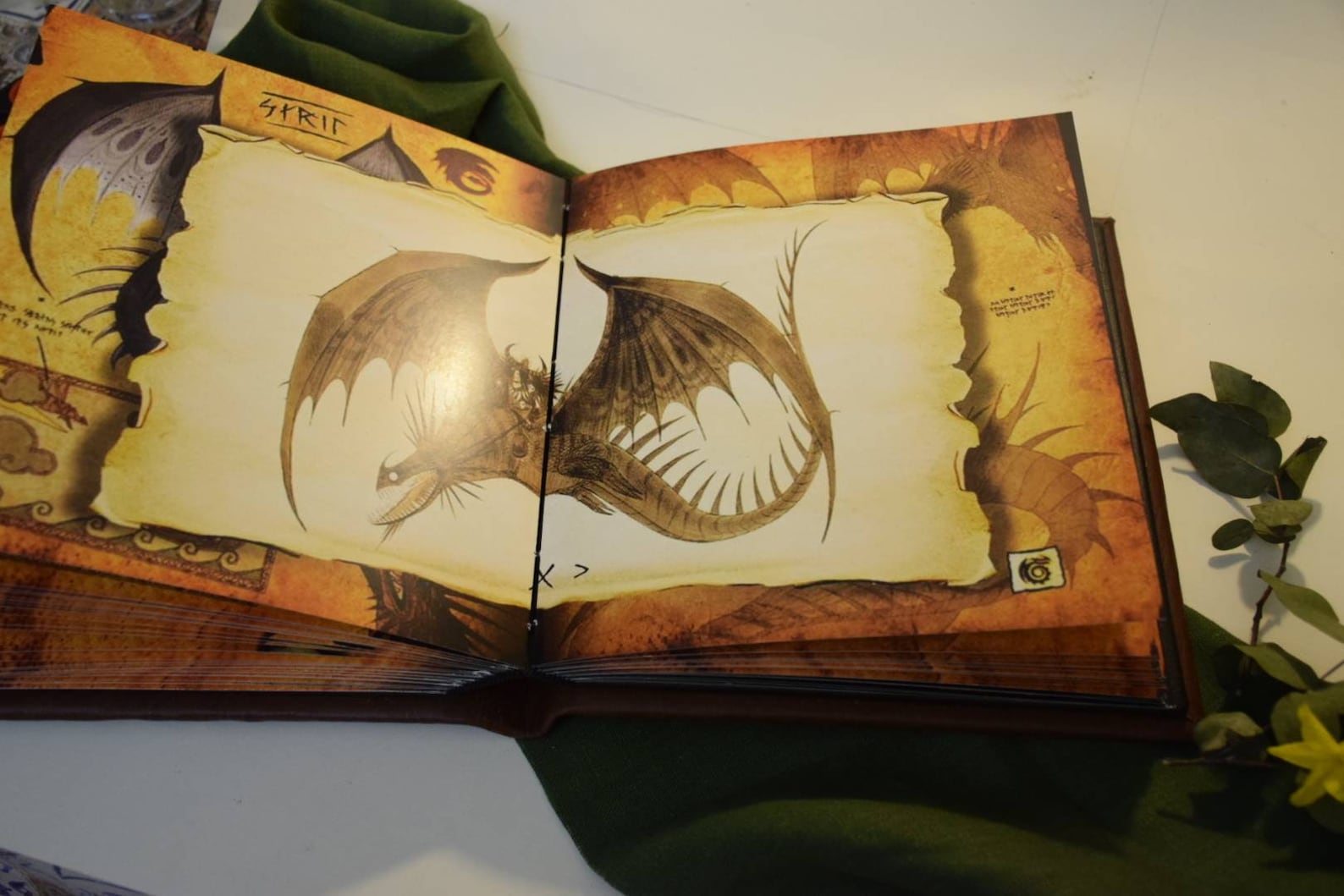 Book Based On How To Train Your Dragon Httyd The Dragon Manual Etsy