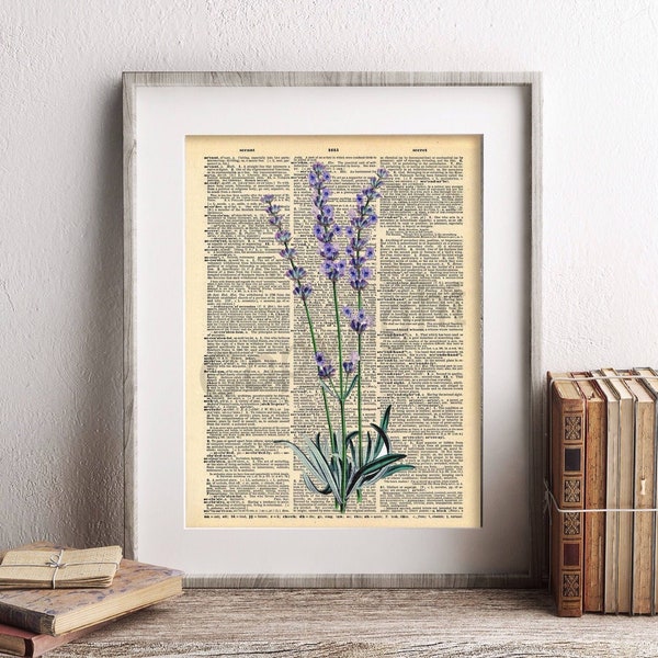 Lavender Plant - Etsy