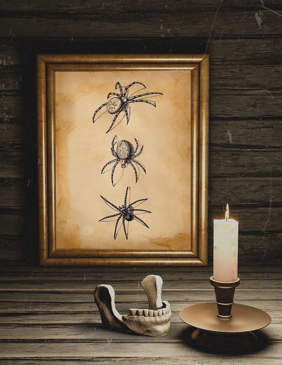 Halloween Spiders Vintage Illustration Art Print, Macabre Art, Macabre ...