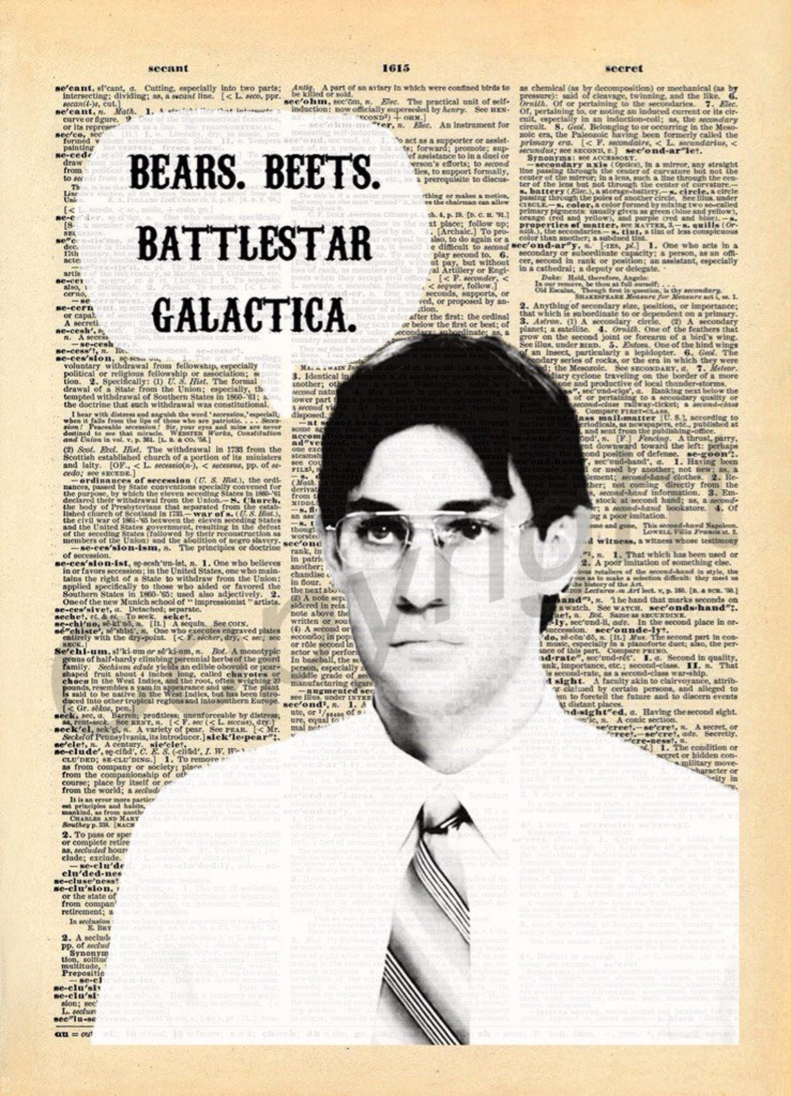 The Office Jim Halpert as Dwight Schrute Dictionary Art Print - Etsy