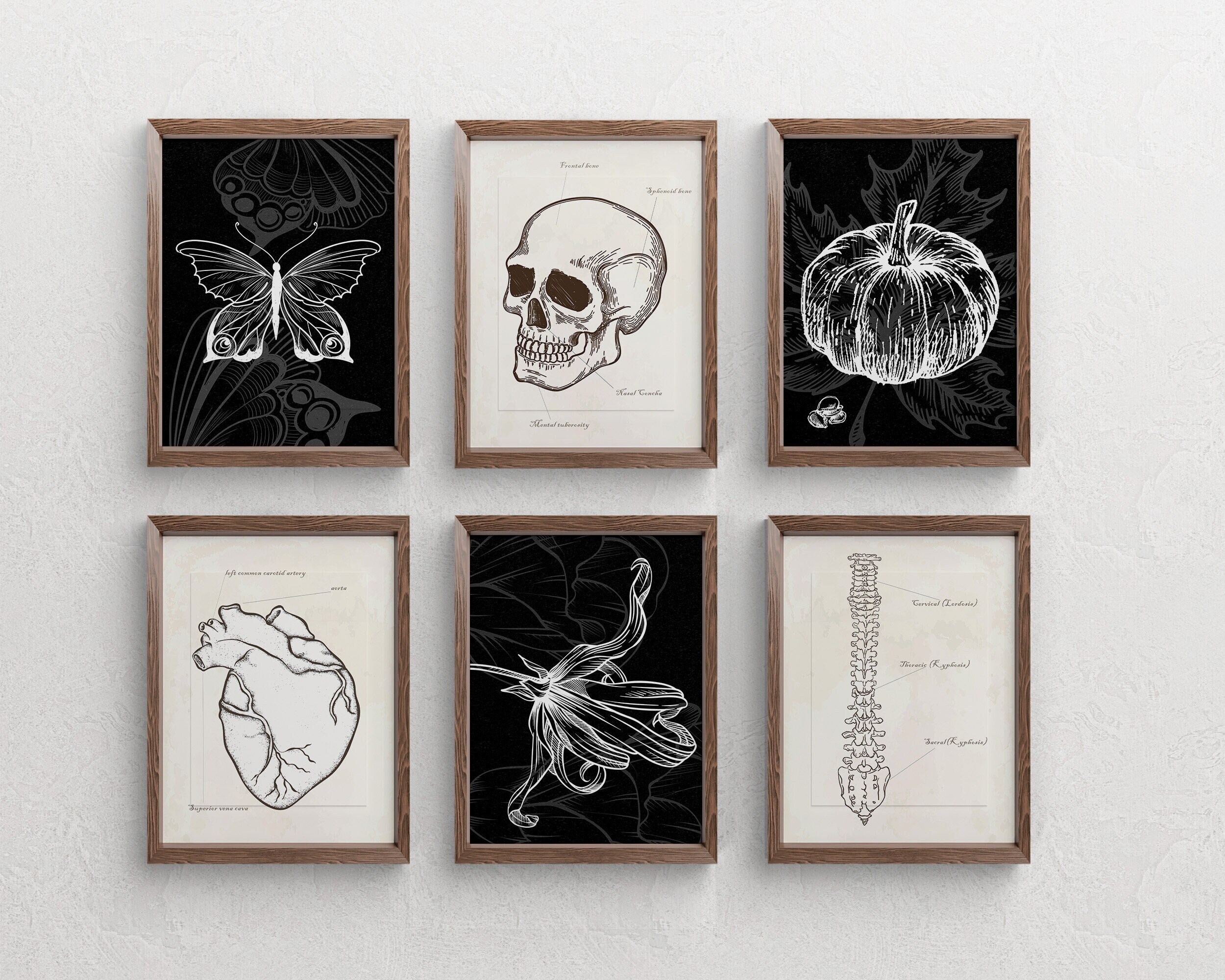 Halloween Wall Decor Fall Decor Halloween Boho Set of 6 - Etsy