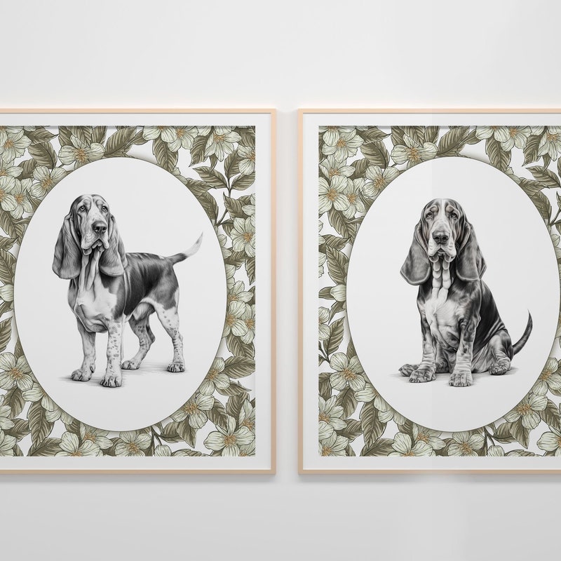 Basset Hound Print - Etsy