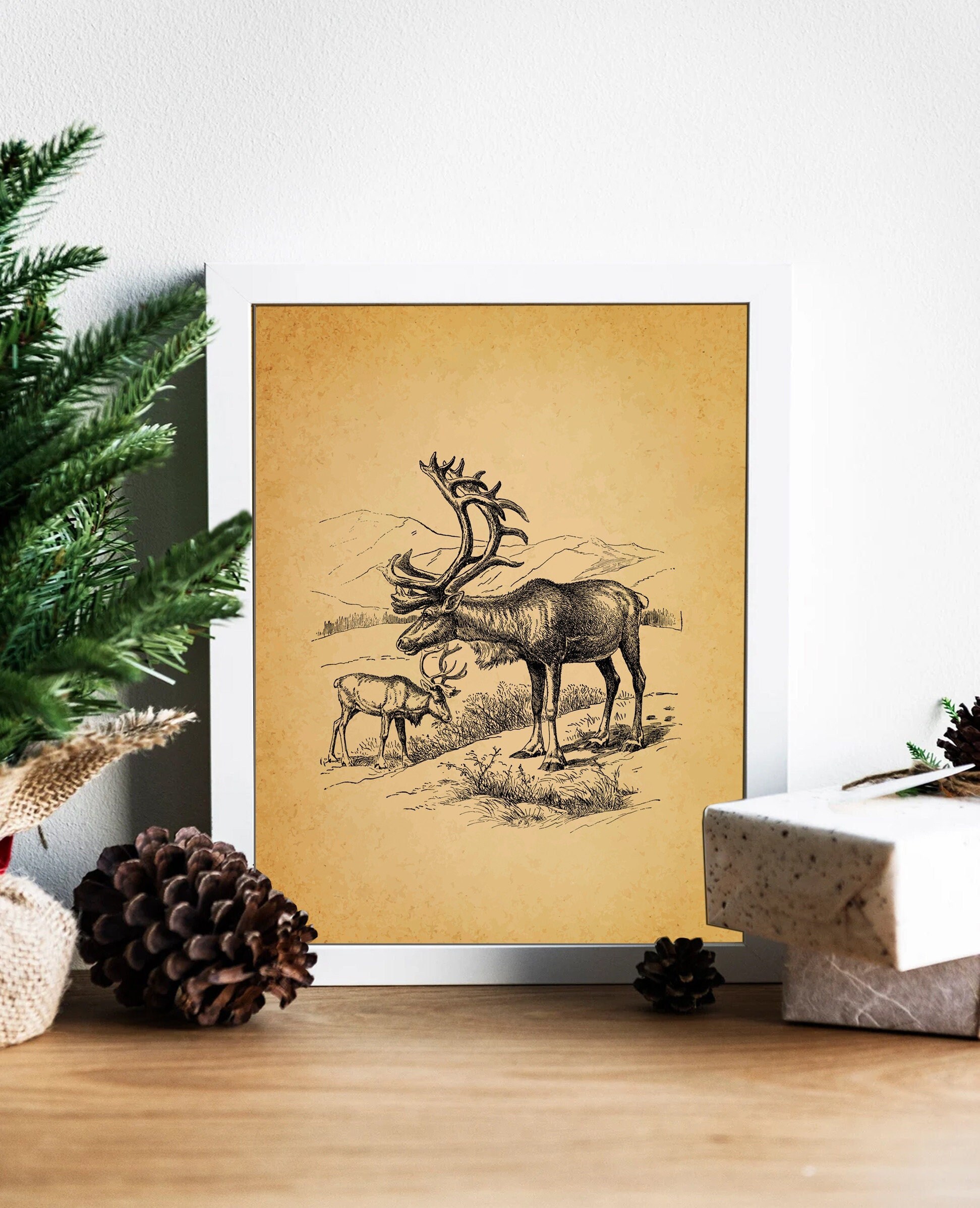 Vintage Deer Drawing