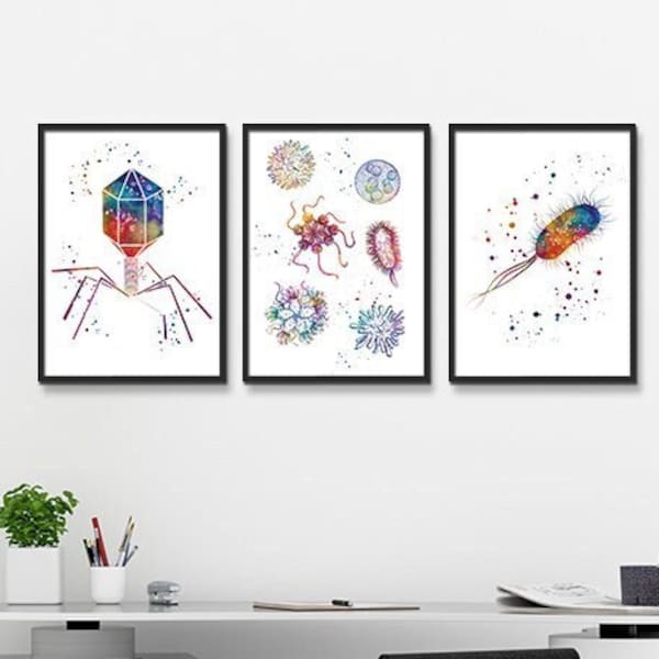 Bacteria Art - Etsy