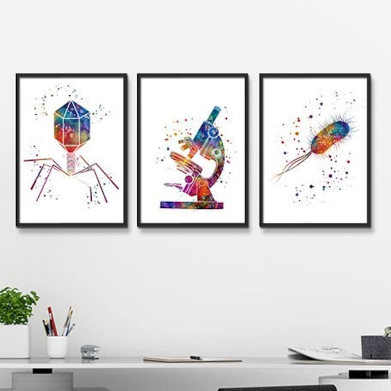 Microbiology Poster - Etsy