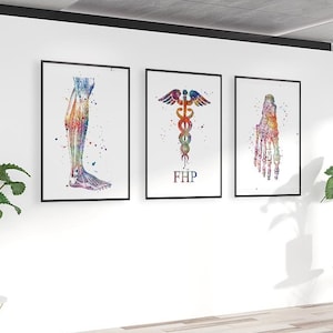 Foot Anatomy Art, Set of 3 Multicolored Watercolor Prints, Foot Health ...