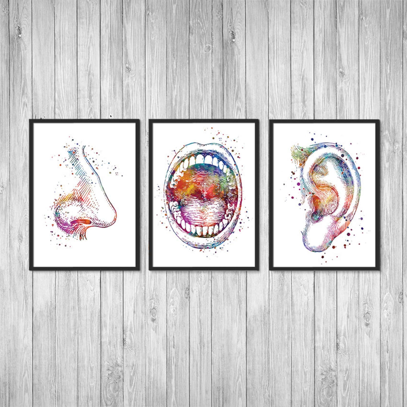 Ear Nose Throat Prints Doctor Office Decor ENT Watercolor Wall - Etsy
