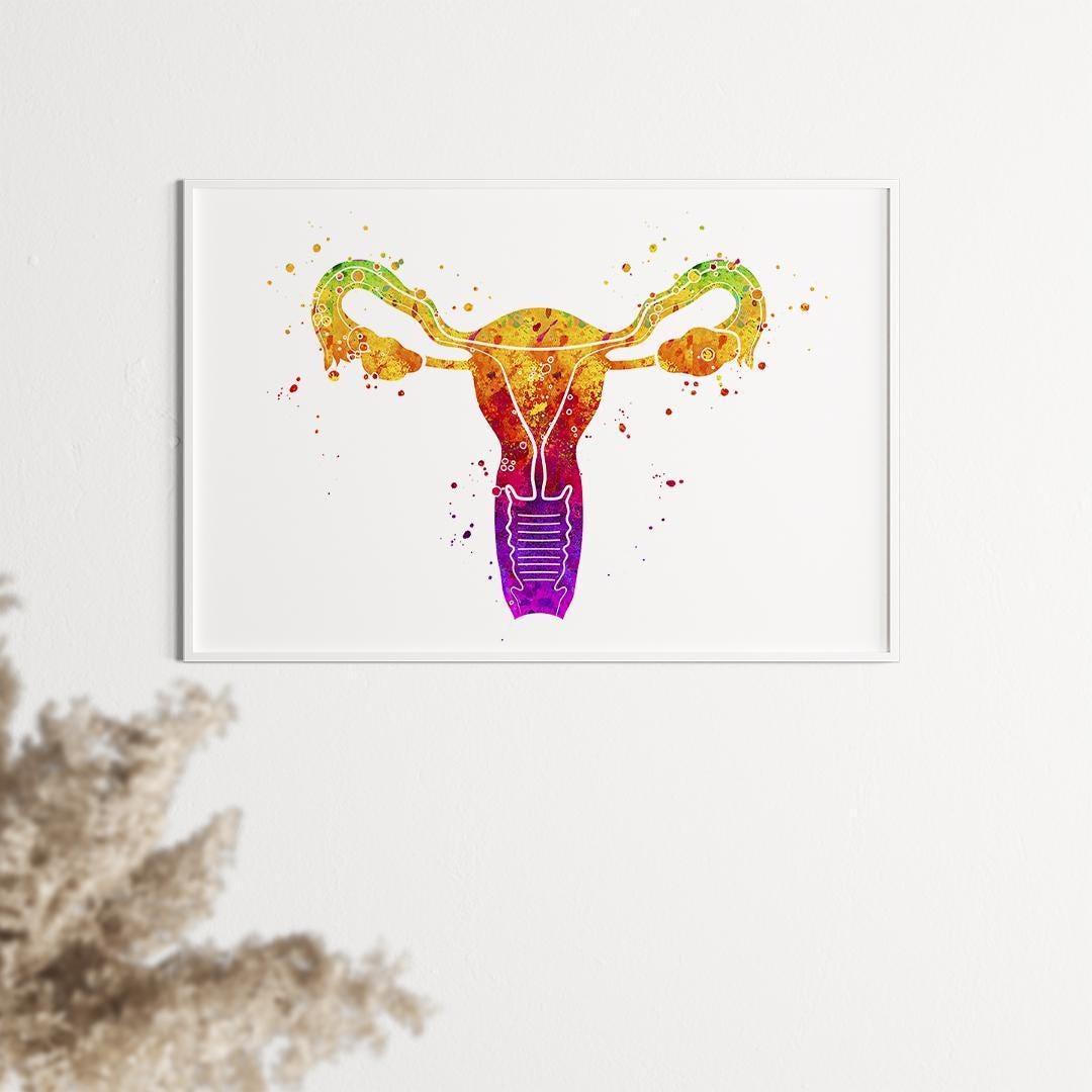 Uterus Art Print, Female Reproductive System Watercolor Artwork, Doctor ...