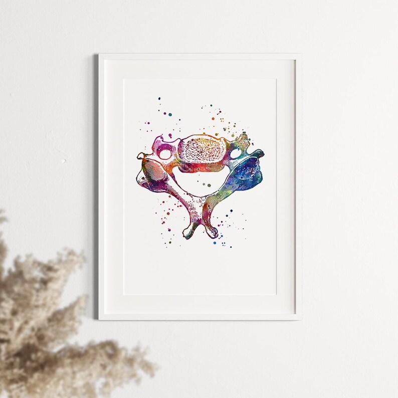 Cervical Vertebrae Wall Art Print, Watercolor Anatomy Poster ...