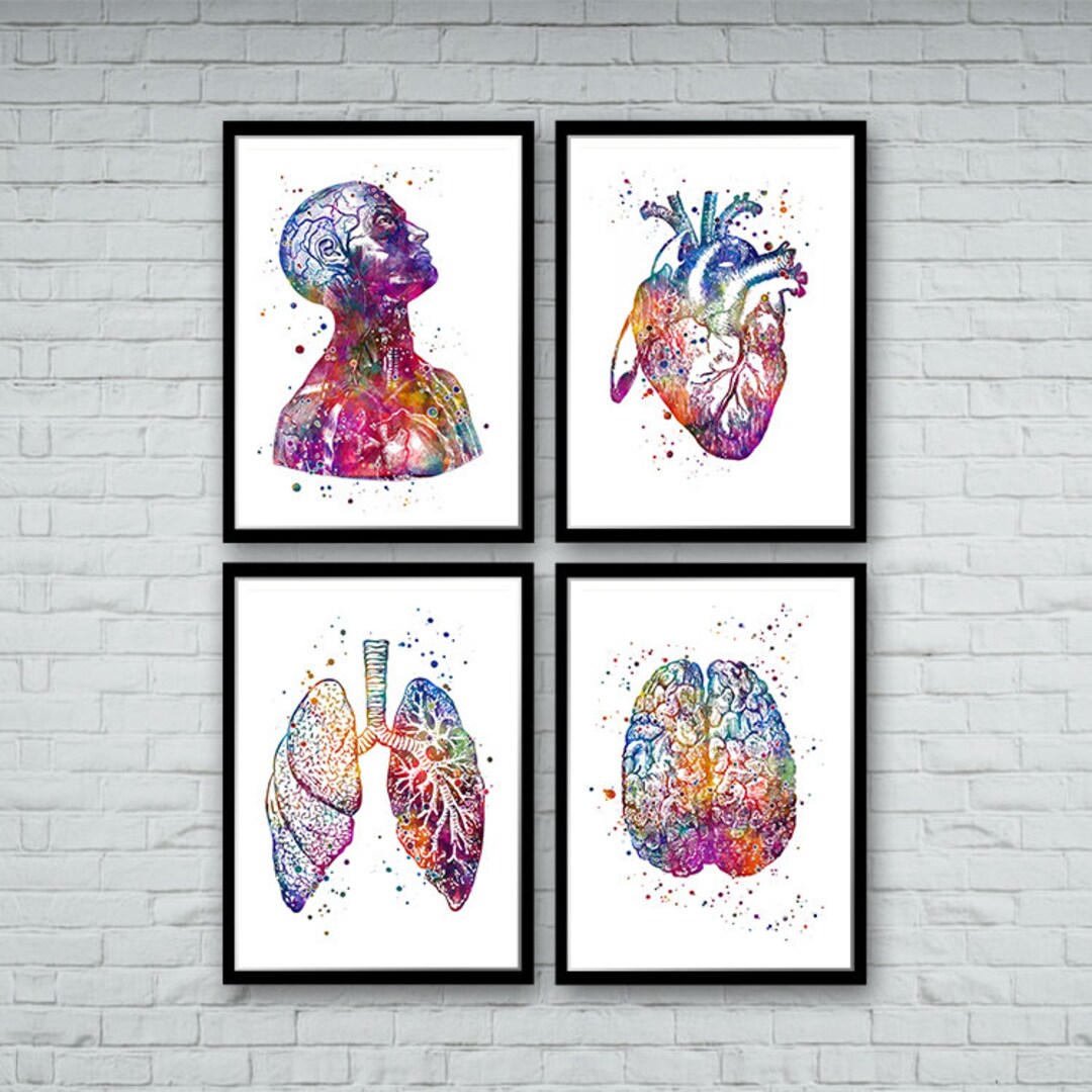 Anatomy Art DEALS Set of Prints Human Heart Brain Lungs Watercolor Wall ...